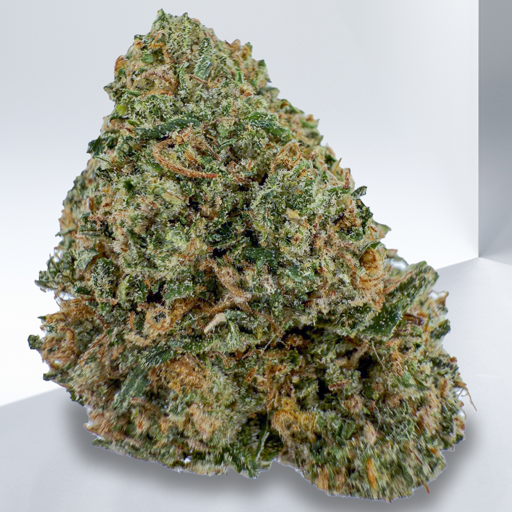 WHITE MASTER TUNA - nativecabbagetowncannabis.ca